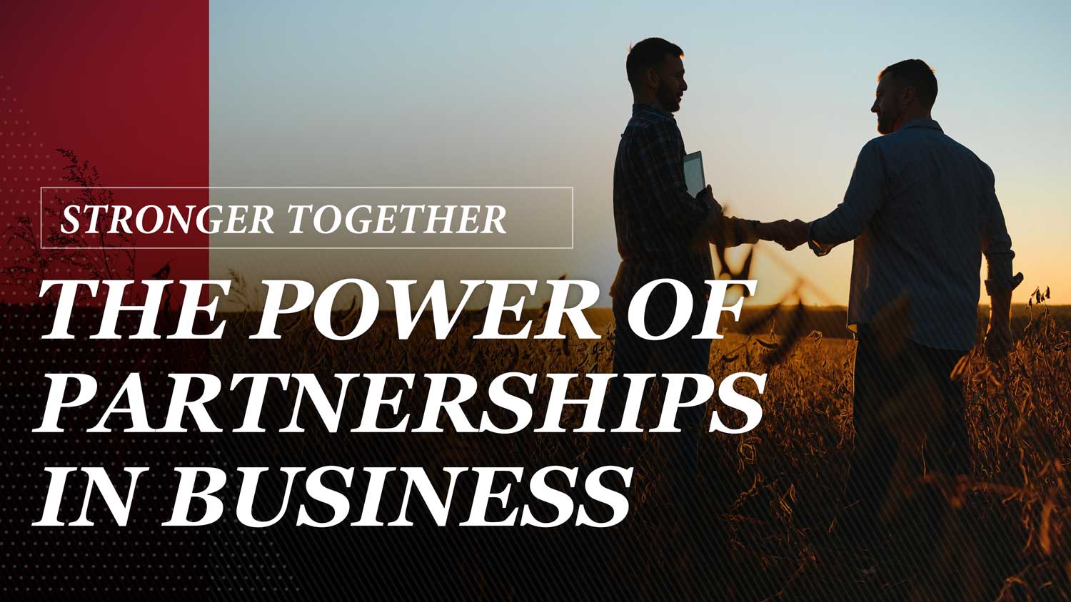 Stronger Together: The Power of Partnerships in Business - Fratco